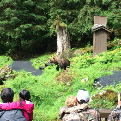 Anan Bears Tour | Alaska Bear Viewing | Muddy Water Adventures