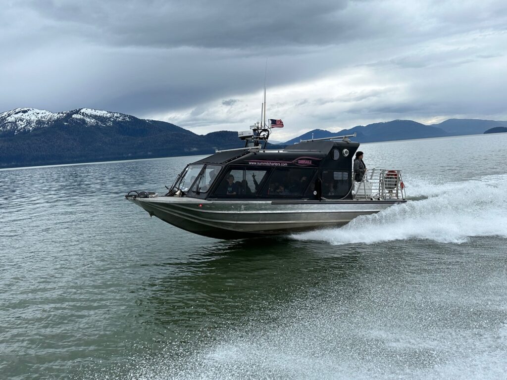 Stikine River Excursion | Wrangell, Alaska | Muddy Water Adventures